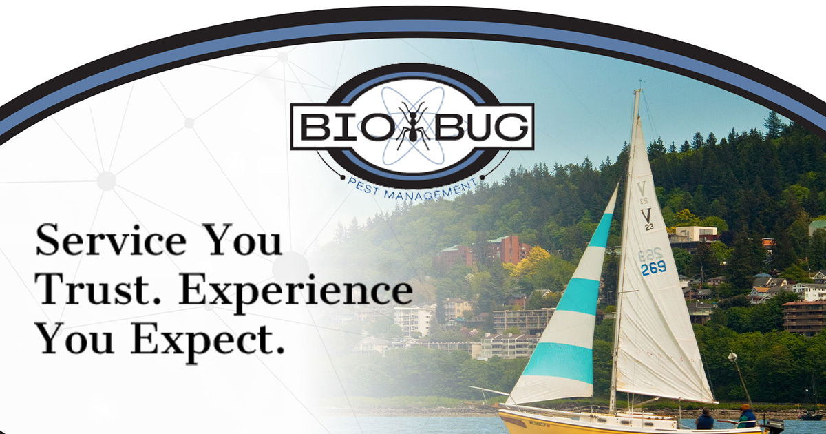 Pest Control Technicians in Bellingham, WA | Bio Bug Pest Management